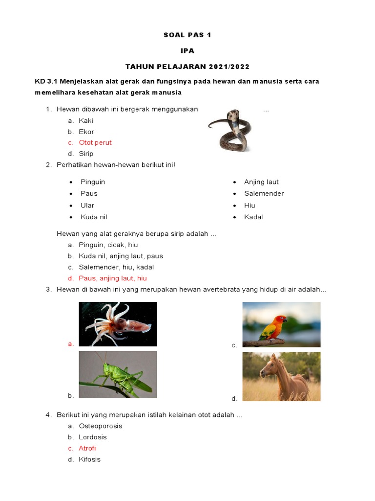 SOAL PAS 1 Ipa 2021-2022 | PDF