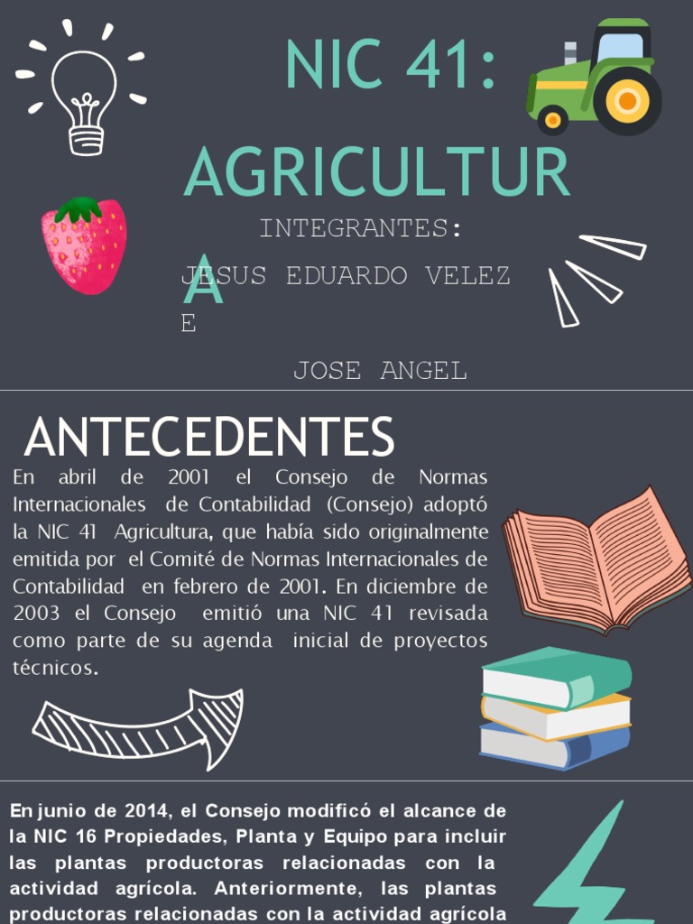 Exposicion de Nic 41 | PDF