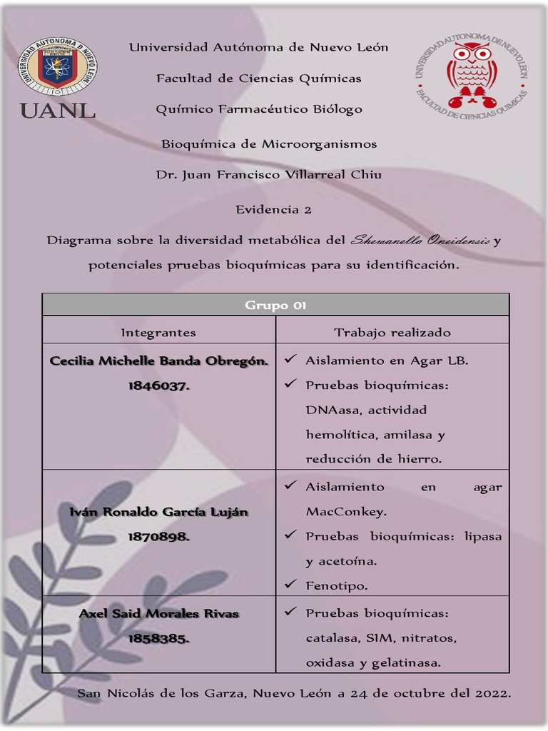 Identificación de Shewanella Oneidensis | PDF | Siembra ...
