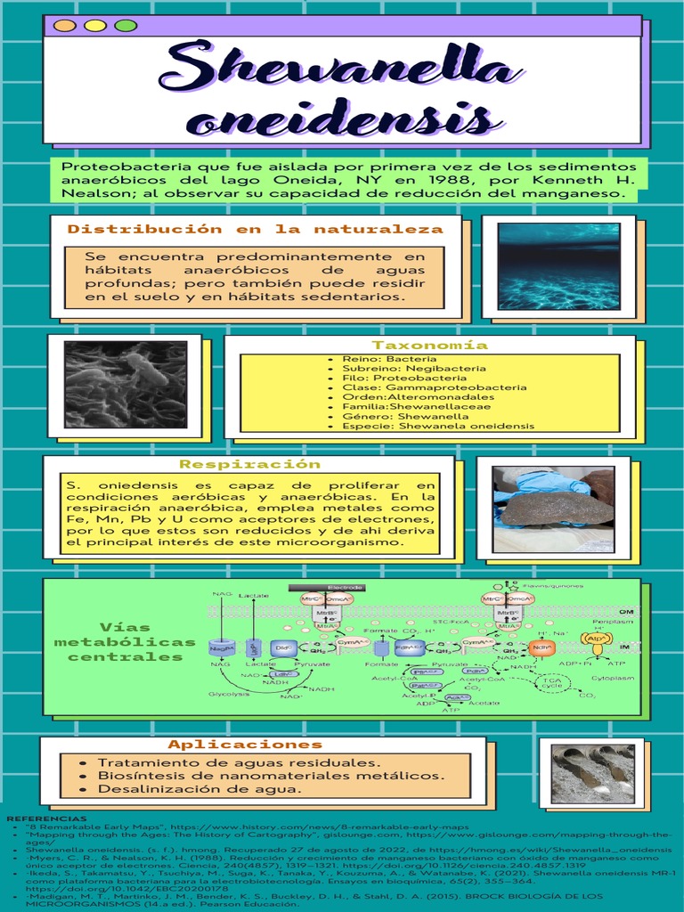 Shewanella Oneidosis | PDF | Química | Las bacterias