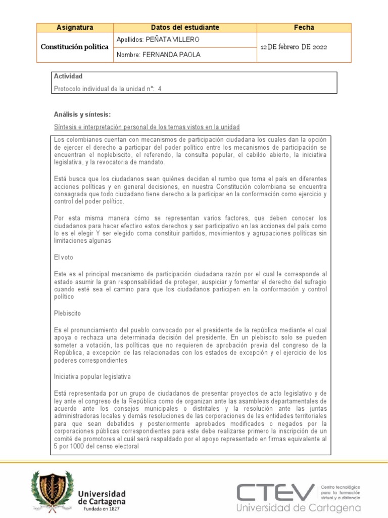 Plantilla Protocolo Individual (4 | PDF