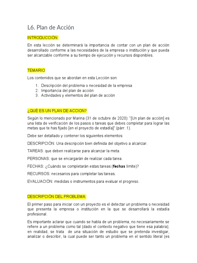 L6. Plan de Acción | PDF
