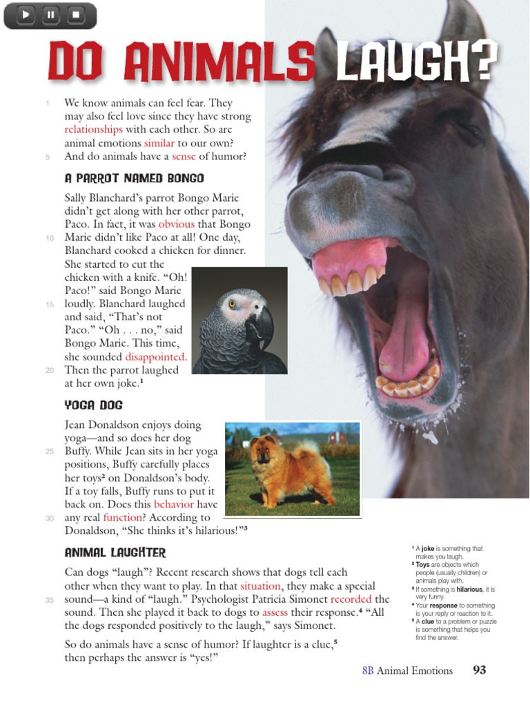 03 L0-U08-LB-RC Do Animals Laugh | PDF | Laughter | Behavioural Sciences