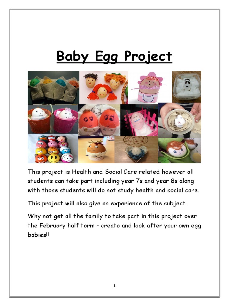 Baby Egg Project | PDF