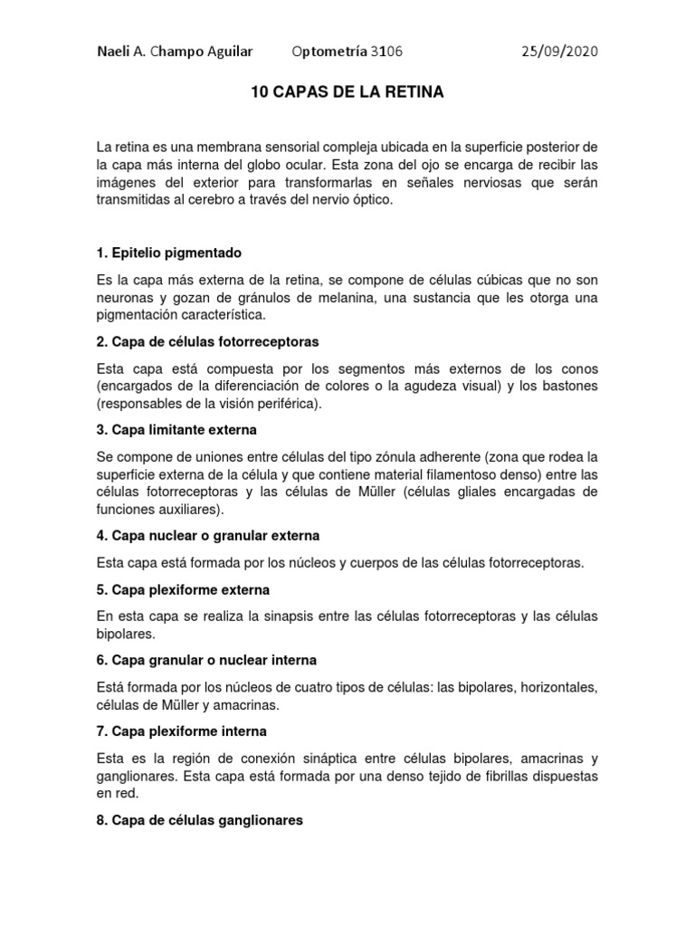 10 Capas de La Retina | PDF | Percepción visual | Retina