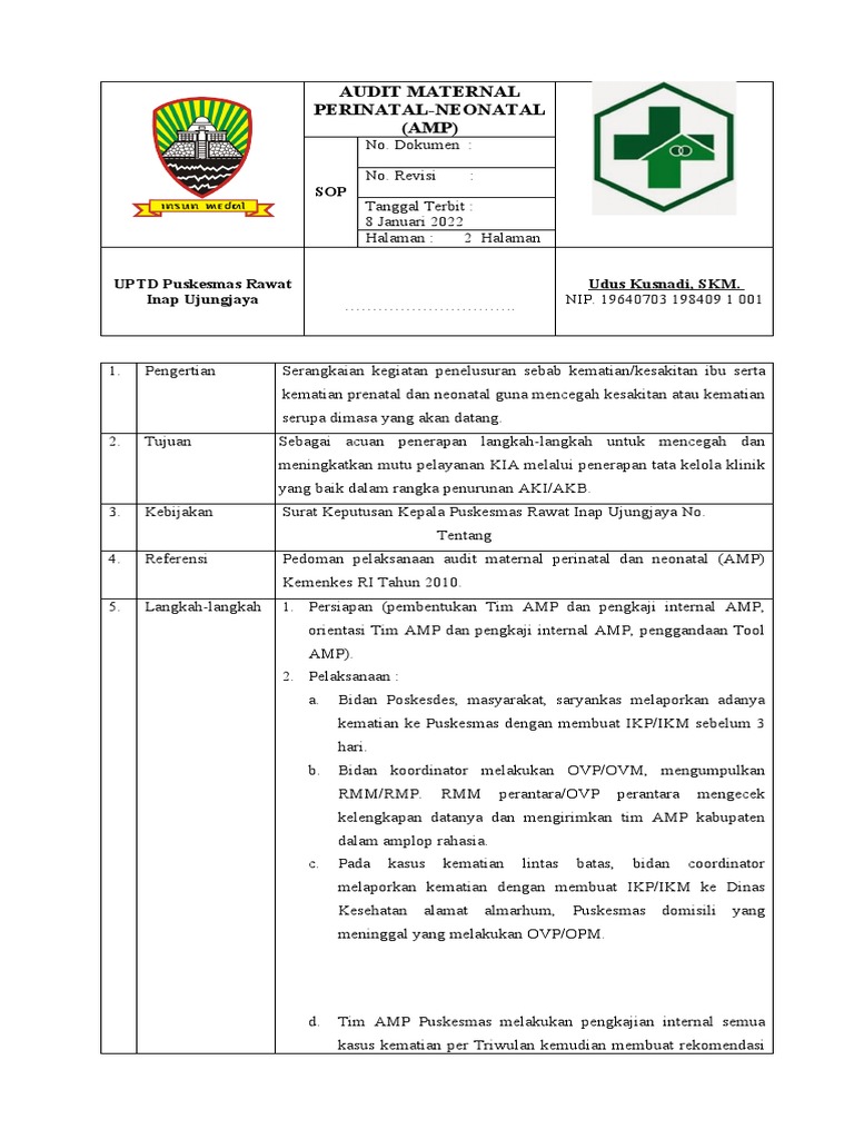 Audit Maternal Perinatal dan Neonatal | PDF