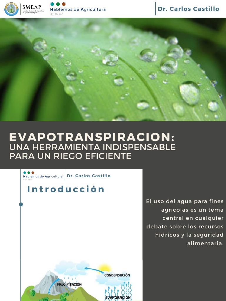 Evapotranspiración - HERRAMIENTA INDISPENSABLE PARA UN RIEGO EFICIENTE ...