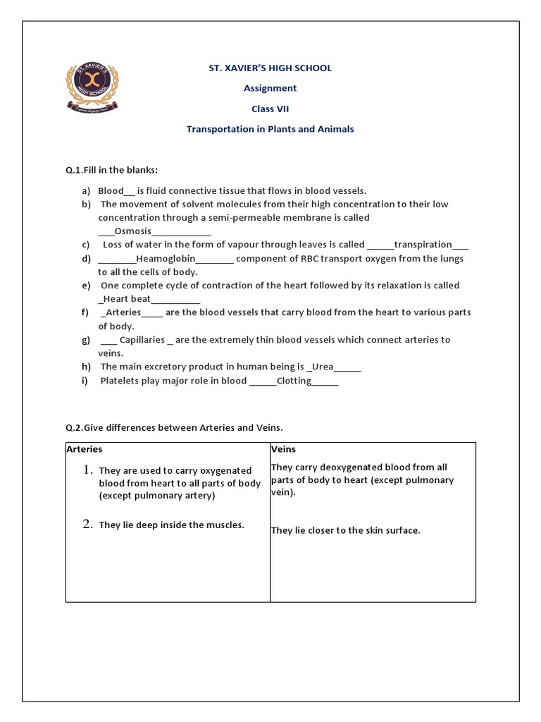 Assignment-Ch 11-Ans Sheet | PDF | Artery | Heart Assignment-Ch 11-Ans Sheet | PDF | Artery | Heart