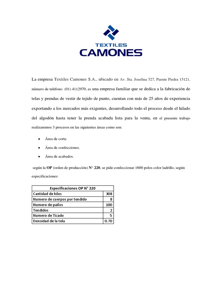 Empresa Textil Camones | PDF | Softlines (venta minorista) | Bienes de ...