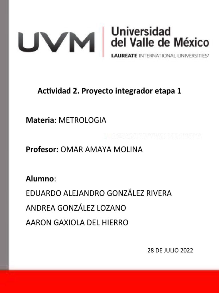 Actividad 2. Proyecto Integrador Etapa 1 | PDF