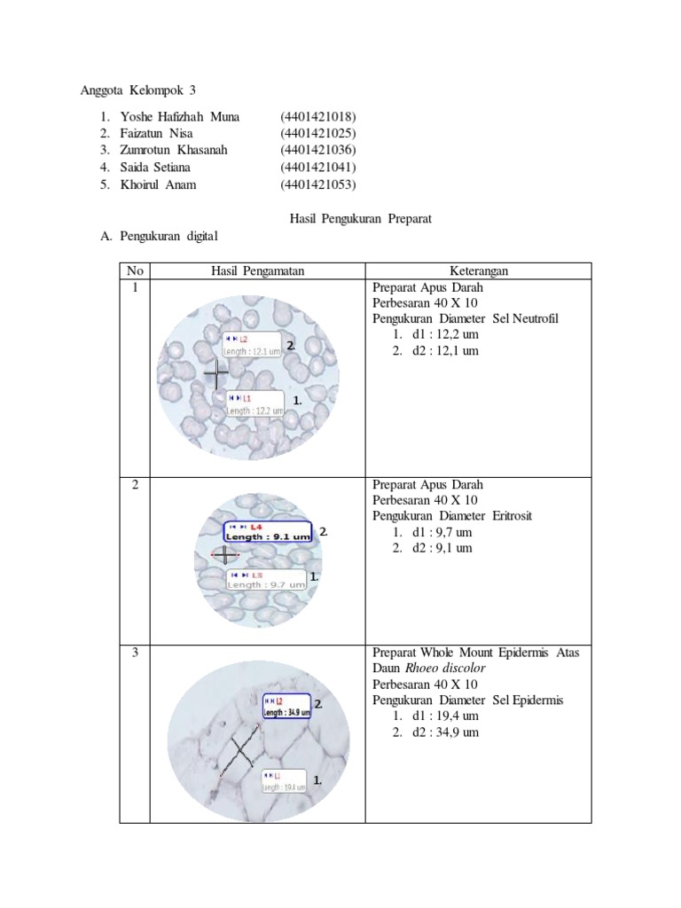 Hasil Pengamatan Mikrometri - Kelompok 3 | PDF | Histology | Zoology