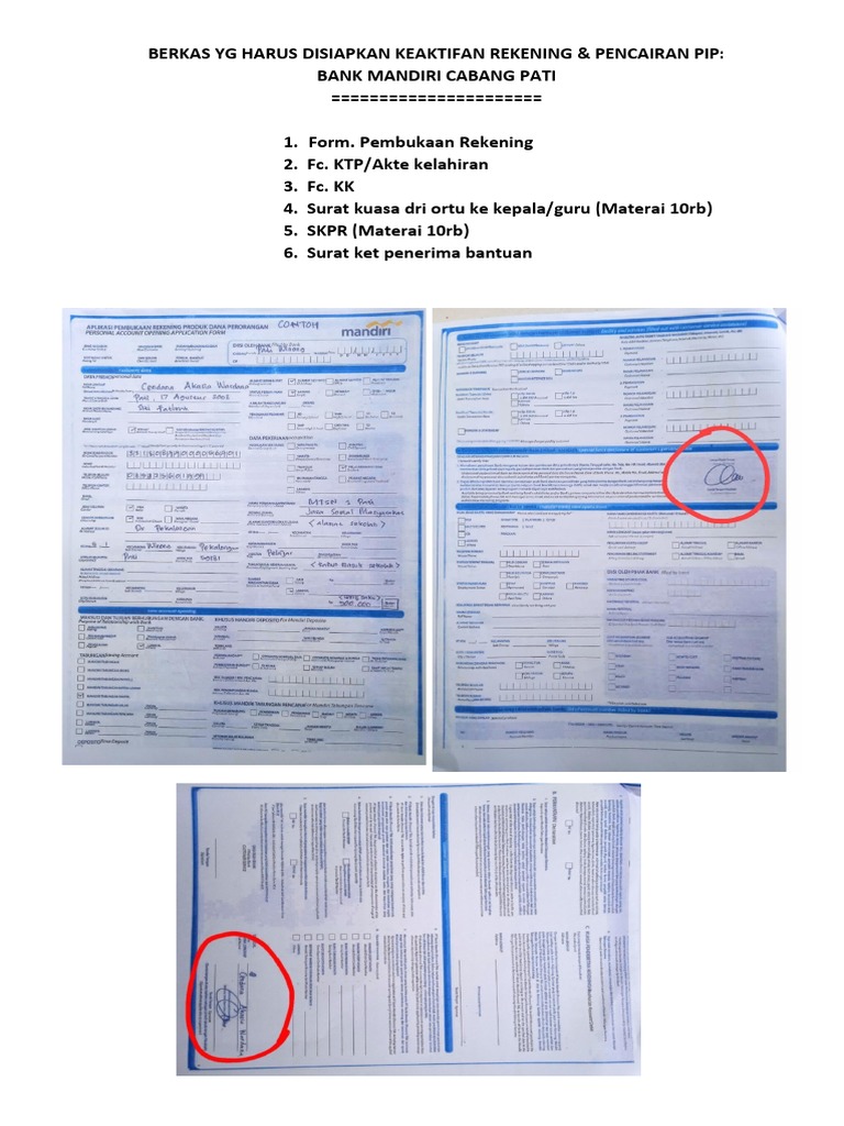 Contoh Berkas Aktivasi Pip Bank Mandiri | PDF
