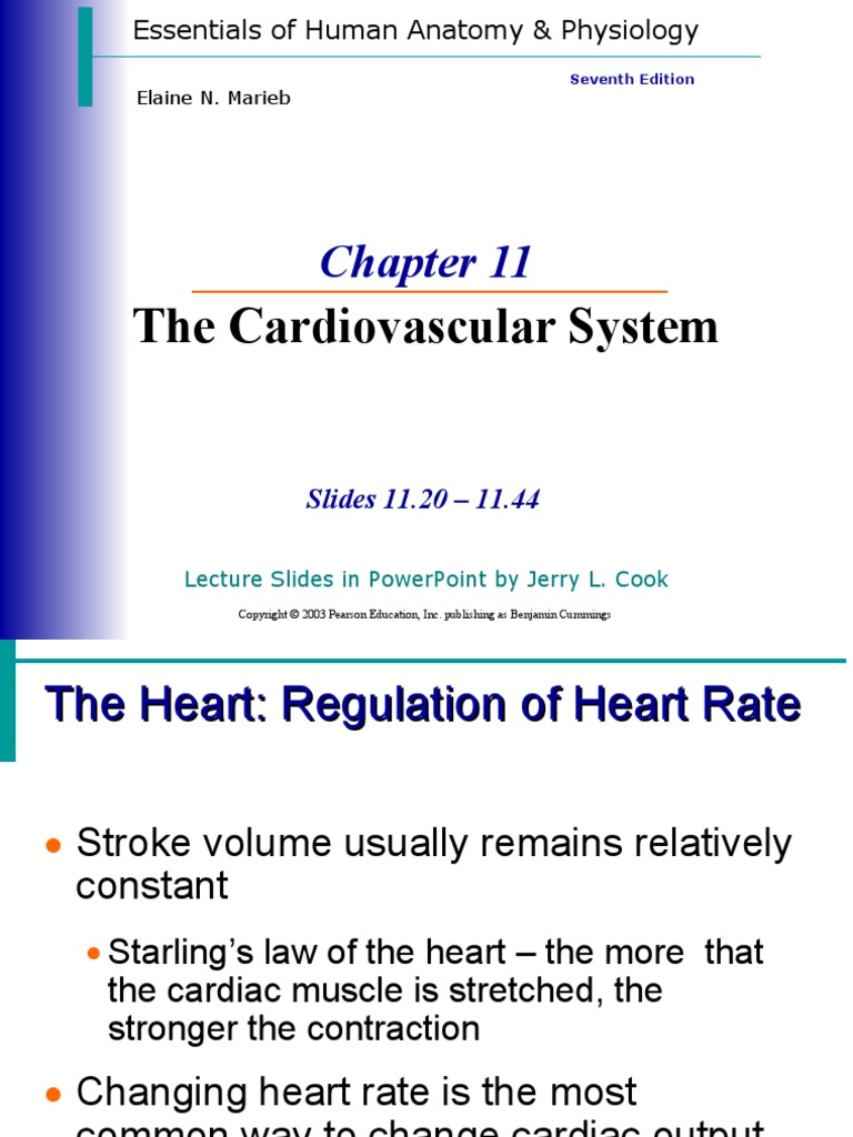 Ch11b Ehap Lect | PDF