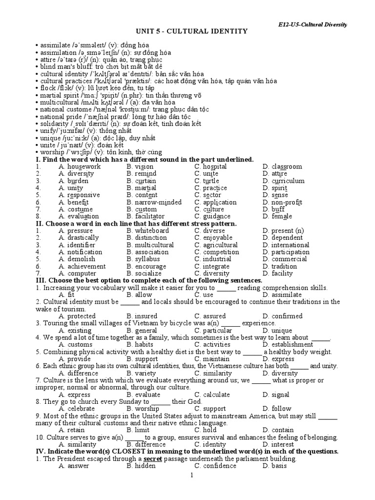 U5 - E12 - Cultural Identity | PDF | Social Science | Language Arts & Discipline