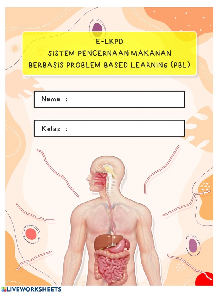 LKPD Organ Pencernaan | PDF