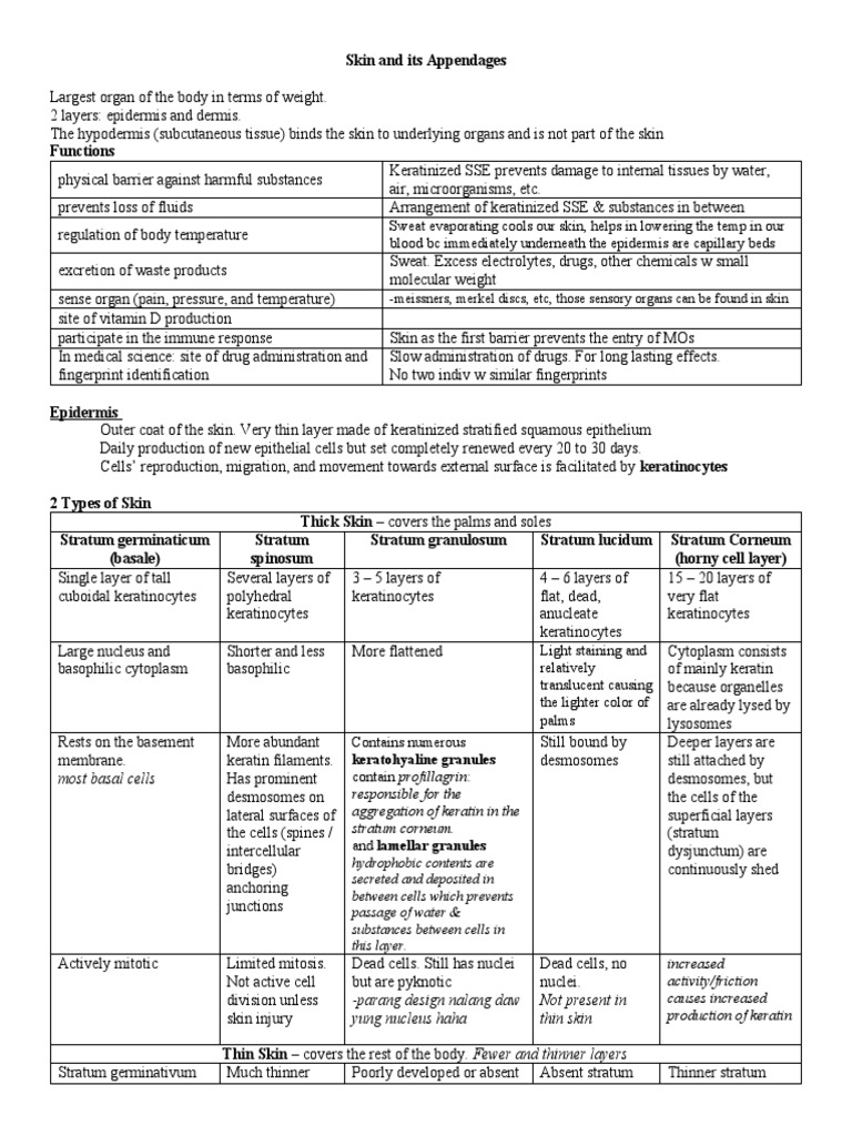 Skin and Its Appendages | Download Free PDF | Epidermis | Skin