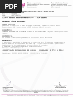 Resultado Biopsia Endos | PDF | Epitélio | Patologia