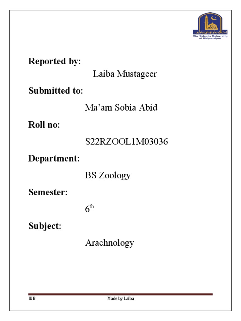 Laiba's Assignment | PDF | Spider | Arachnids