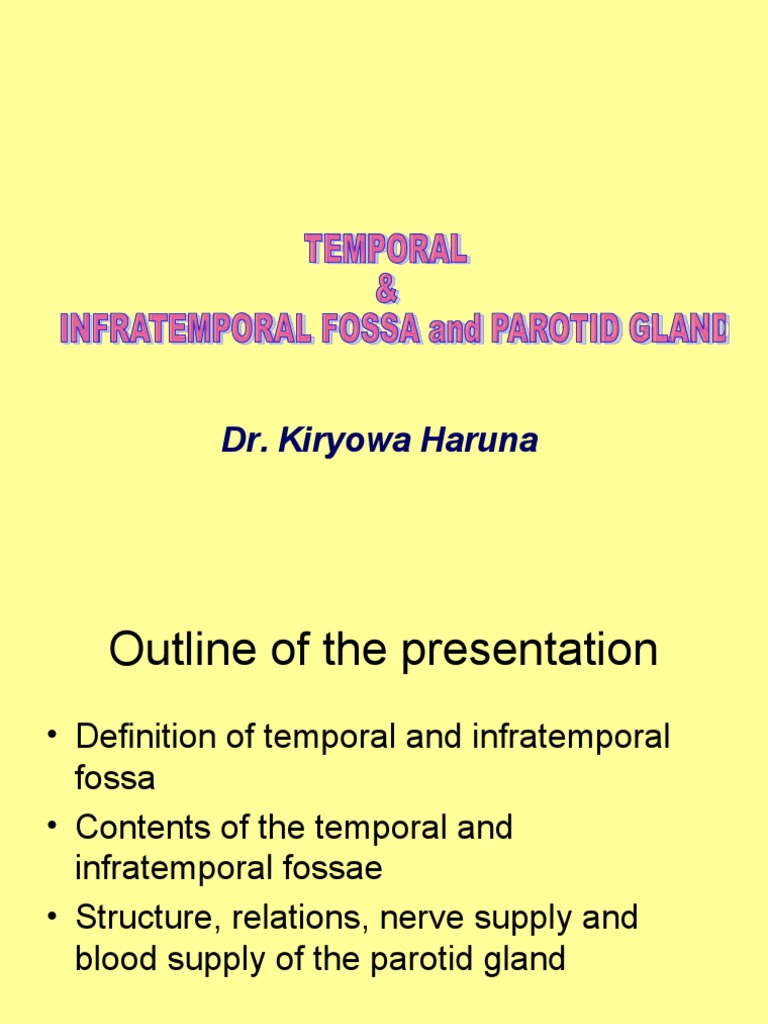 Temporal and Infratemporal Fossa Overview | PDF | Science & Mathematics