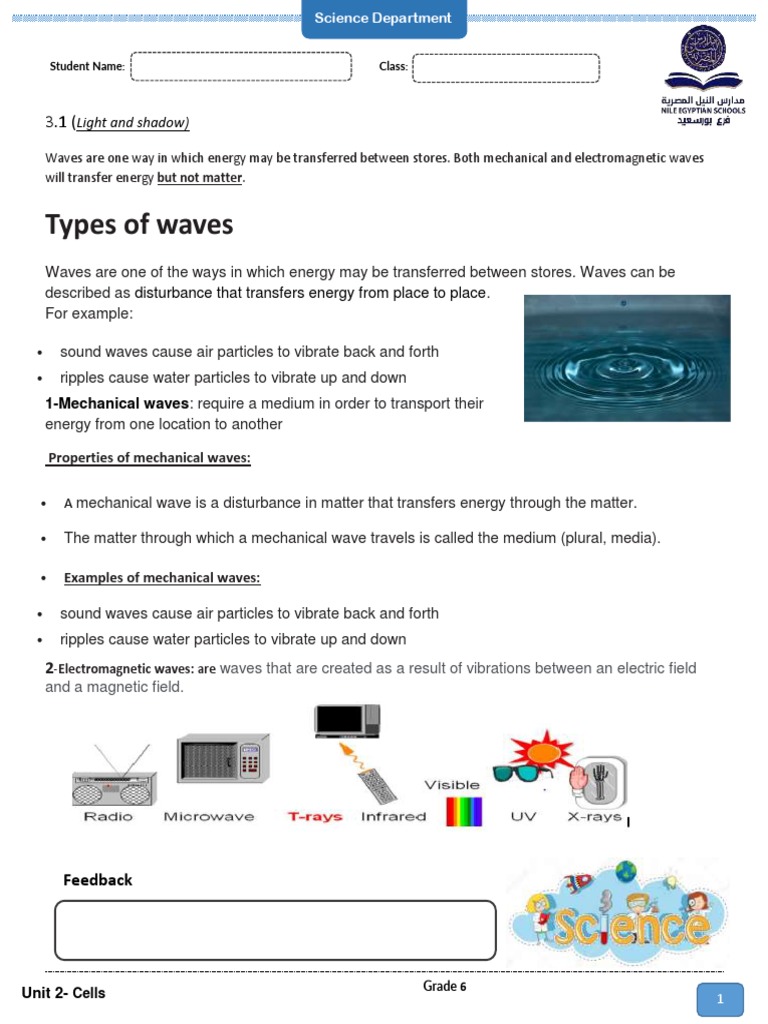 Grade 6 - Block 3 - Unit 3 - Lesson 1 | PDF | Waves | Light