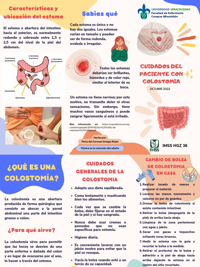 Triptico - Cuidados Del Paciente Con Colostomia | PDF | Tracto ...