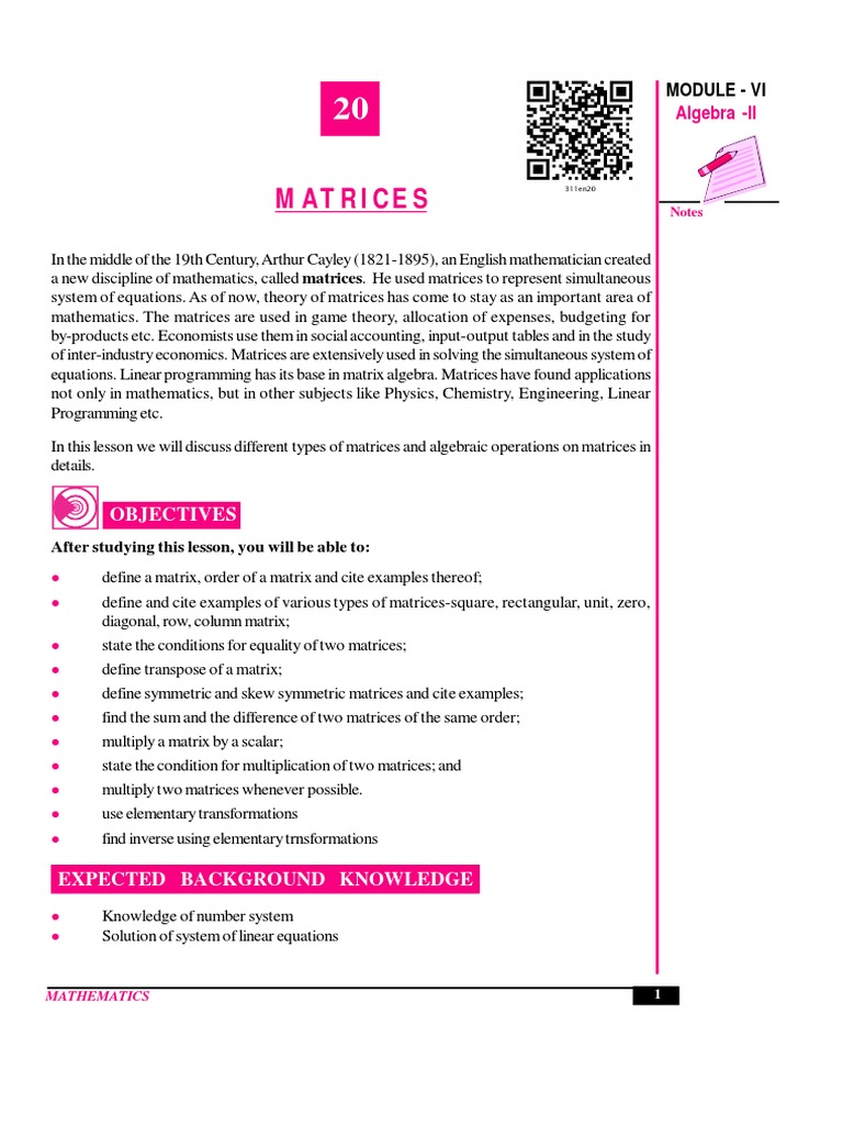 311 Maths Eng Lesson20 | PDF | Matrix (Mathematics) | Mathematical Concepts
