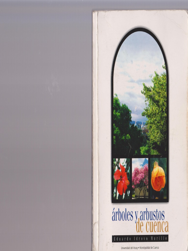 Libro Arboles y Arbustos de Cuenca | PDF