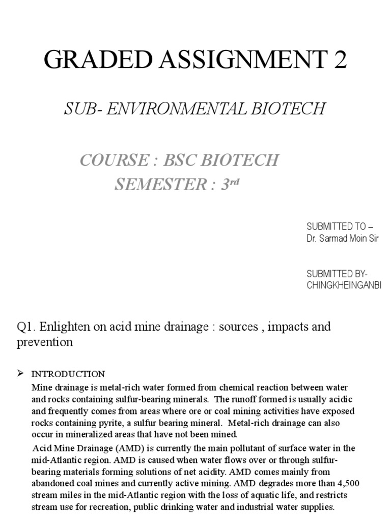 Graded Assignment 2 Pdf 