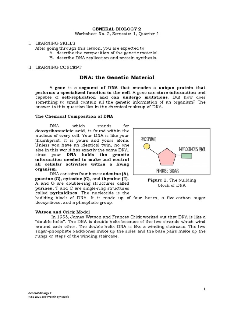 Orca Share Media1662355444548 6972424090491517852 | PDF | Rna | Dna