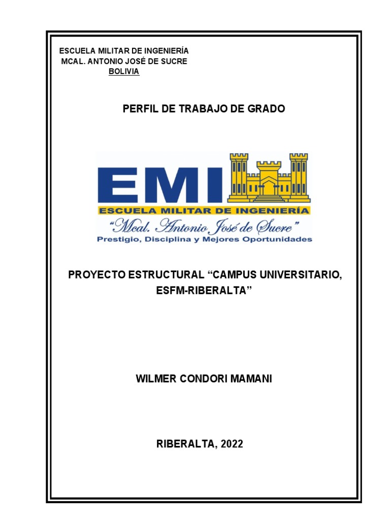 Wilmer Condori - Perfil Final | PDF