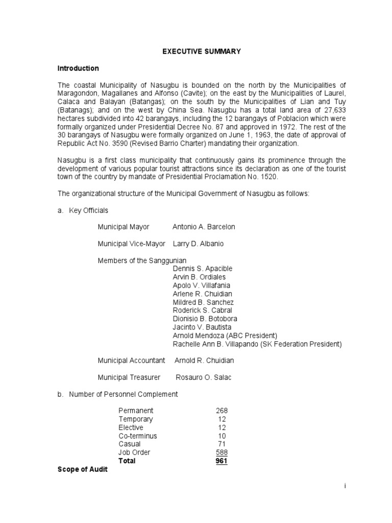 Nasugbu Executive Summary 2019 | PDF