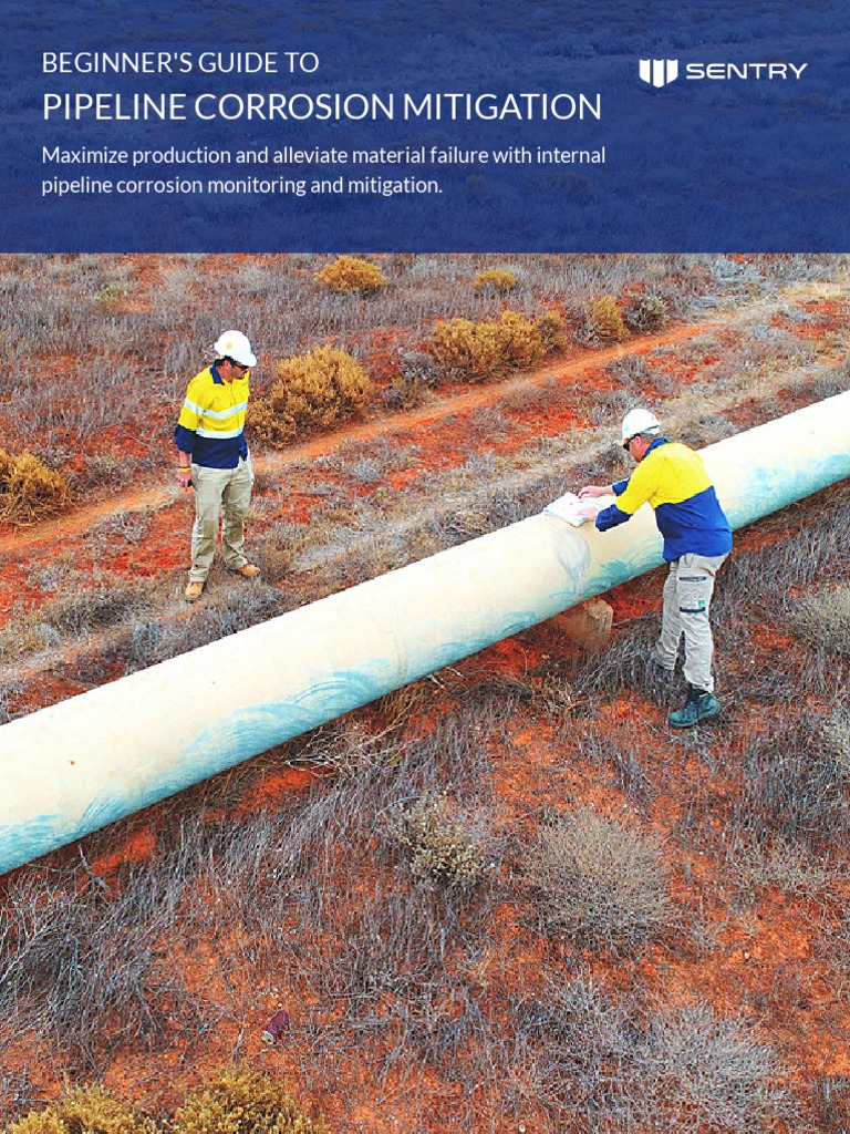Pipeline Corrosion Monitoring Essentials | PDF | Pipeline Transport ...