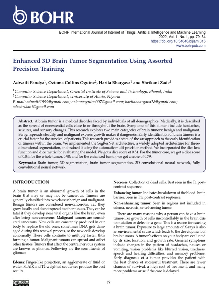 Enhanced 3D Brain Tumor Segmentation Using Assorted Precision Training | PDF