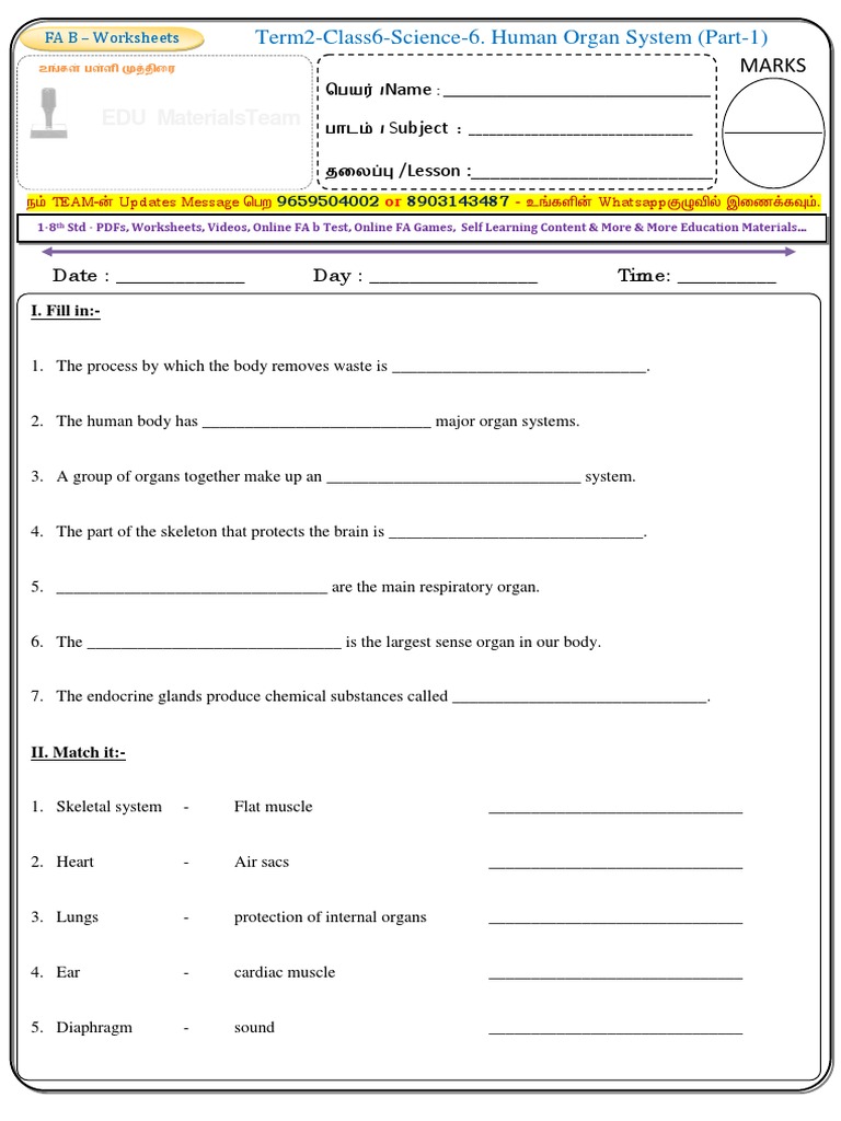 Term2-Class6-Science-6. Human Organ System (Part-1) | PDF