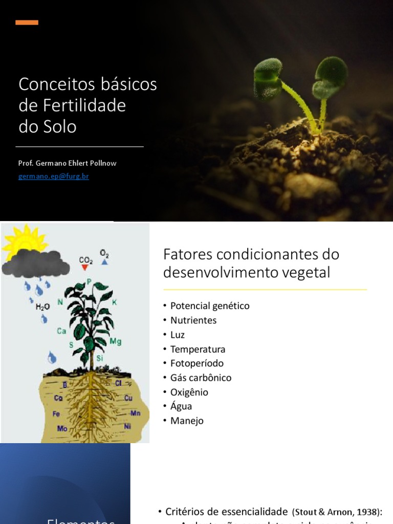 Conceitos Básicos Fertilidade Do Solo | PDF | Nutrientes | Solo