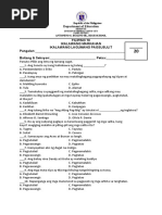 Anapora AT Katapora Worksheet | PDF