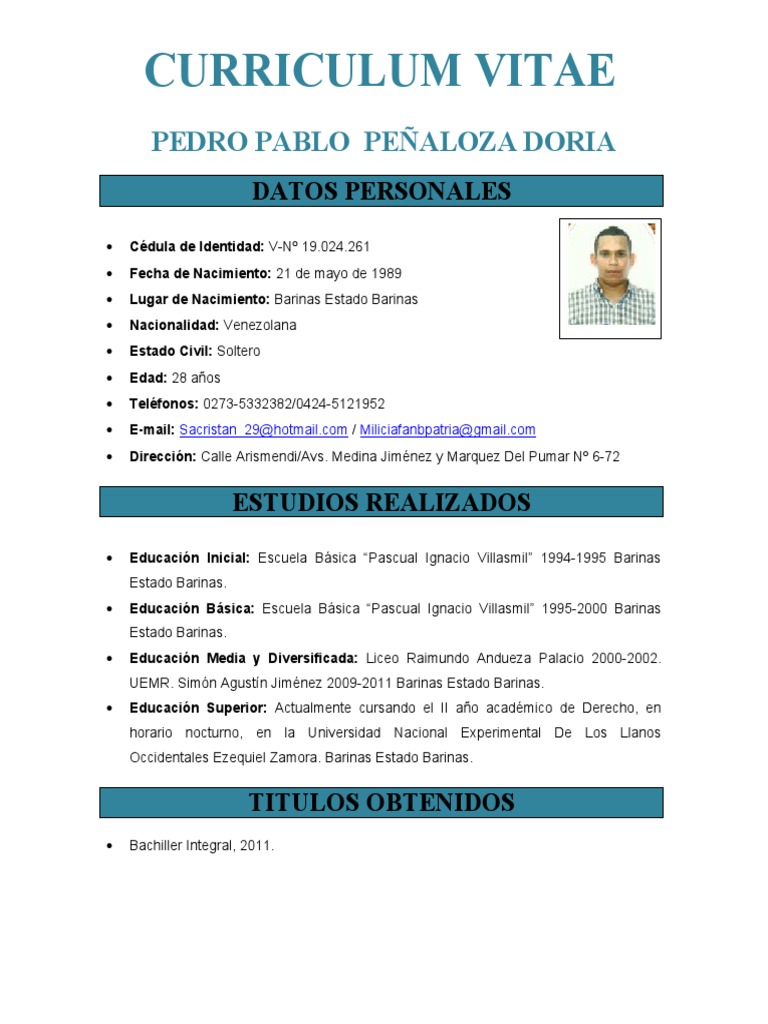 Curriculum Pedro Pablo (PEDROPABLO PEÑALOZADORIA) | PDF