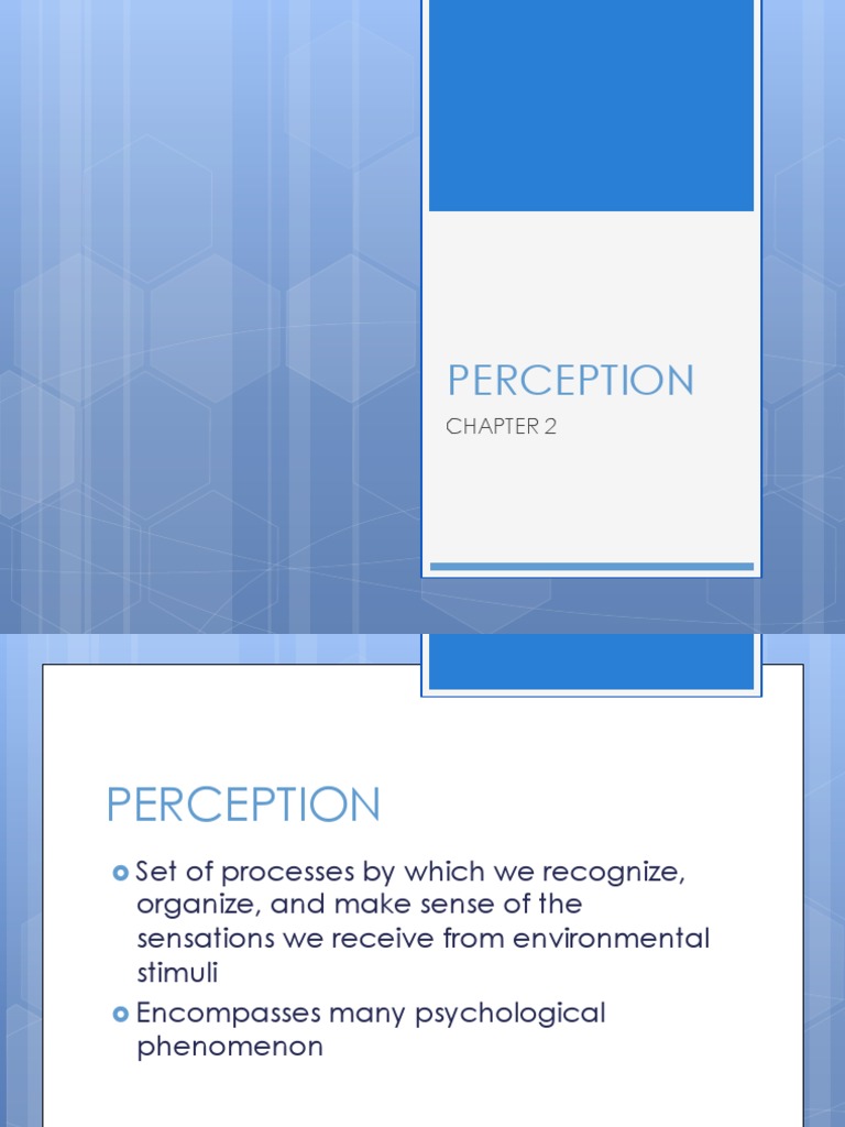 Chapter 3 Perception | PDF | Perception | Visual System
