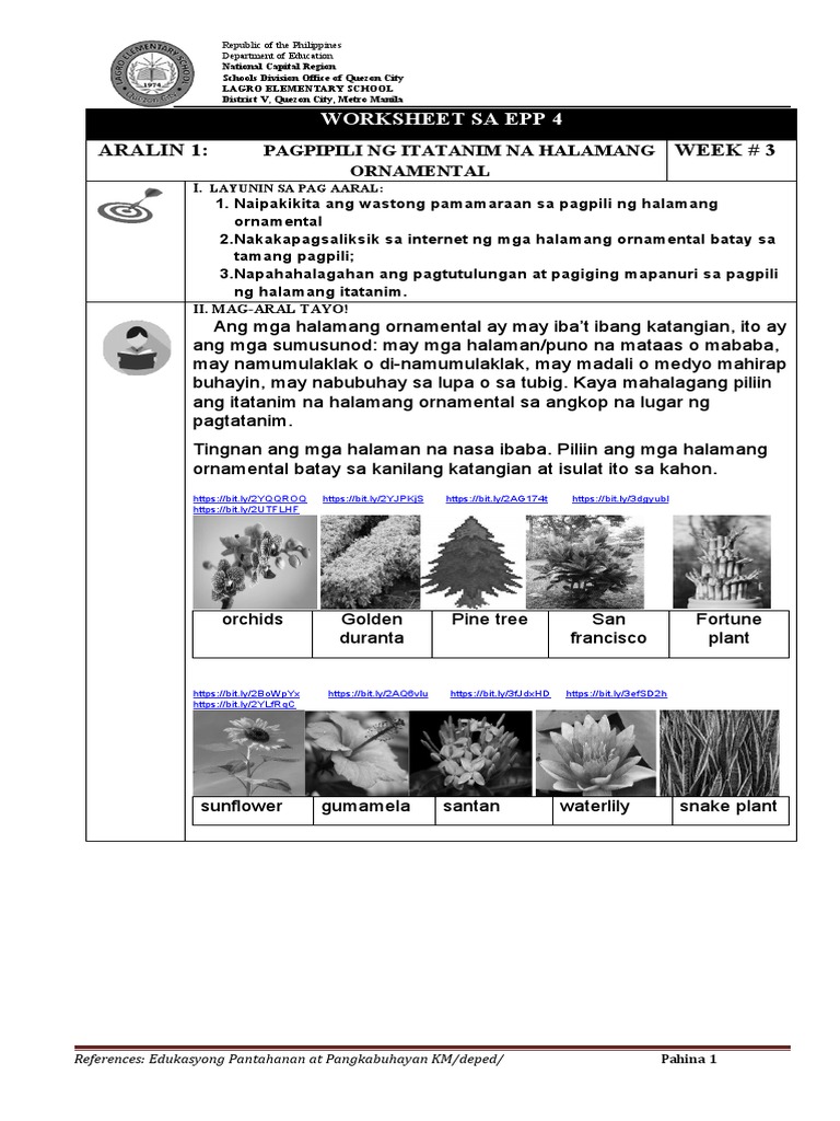 EPP4 WORKSHEET WEEK 3 Agri | PDF