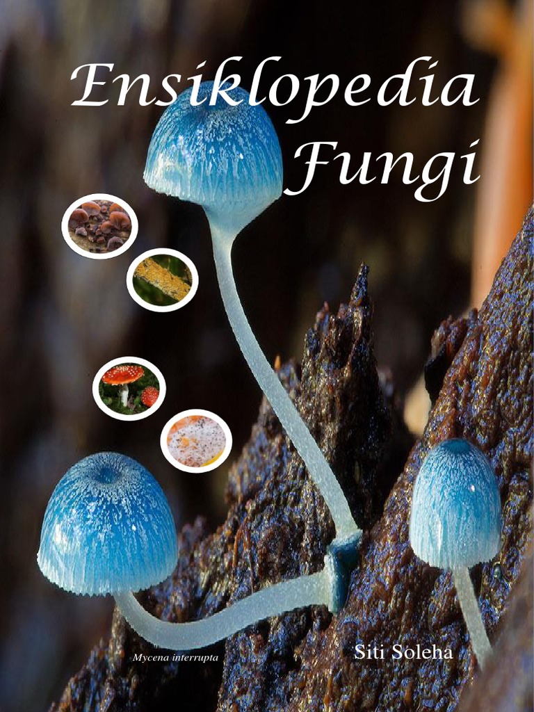 Ensiklopedia Fungi | PDF