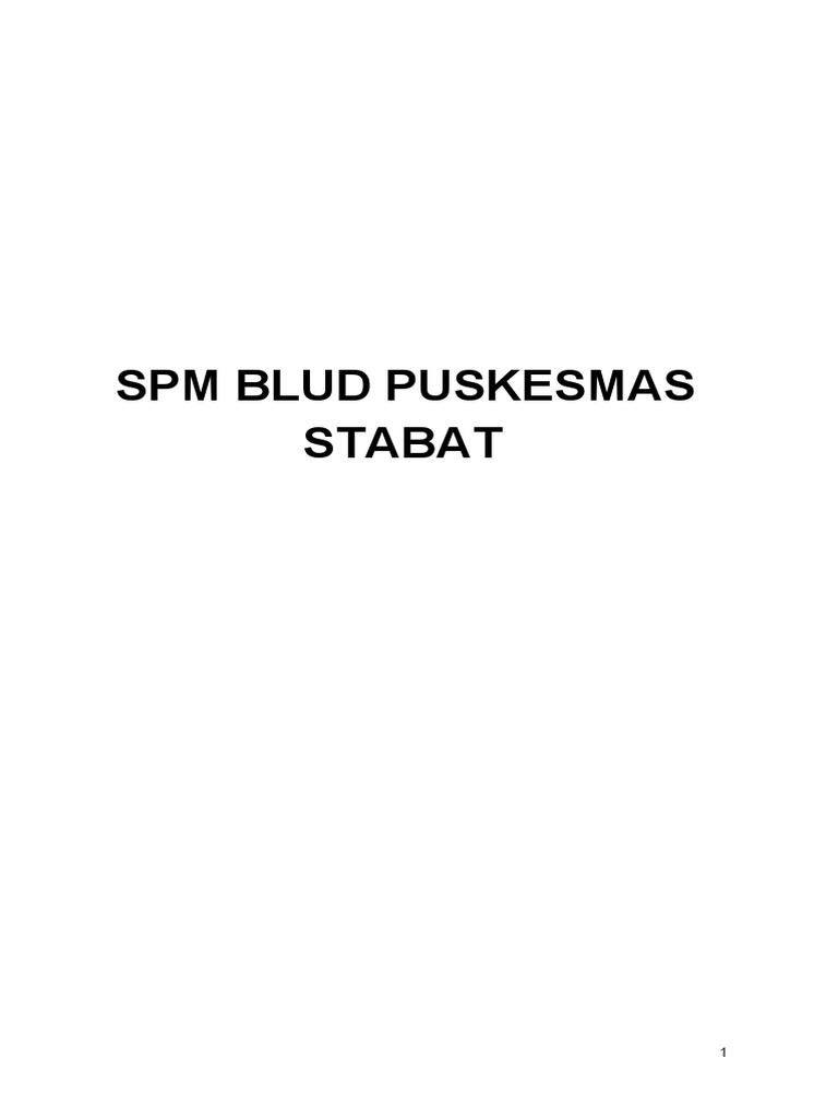 SPM Blud Puskesmas Stabat. | PDF