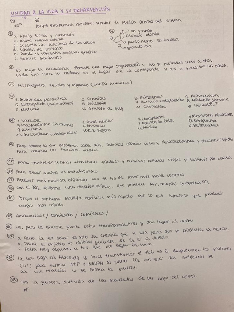 Unidad 2 Ejercicios Pdf