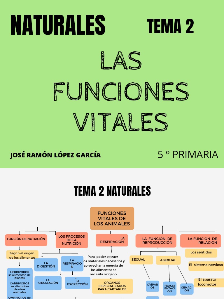 Tema 2 LAS FUNCIONES VITALES DE ANIMALES Y PLANTAS Naturales | PDF ...