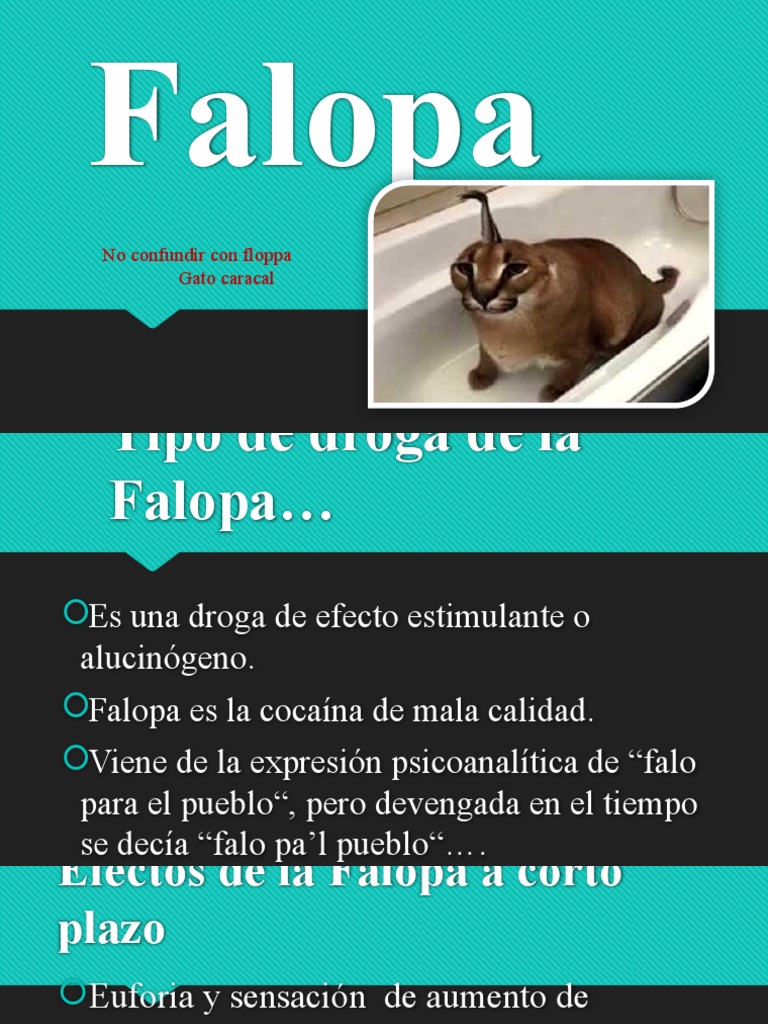 Efectos de la Falopa como droga | PDF