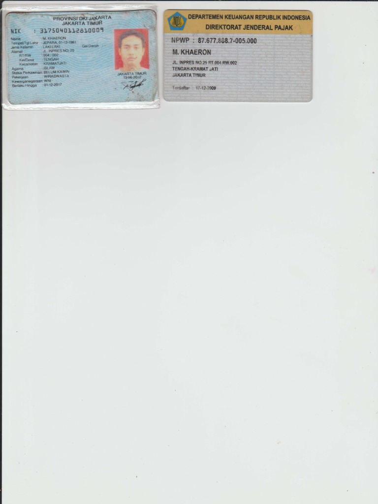 KTP & NPWP | PDF