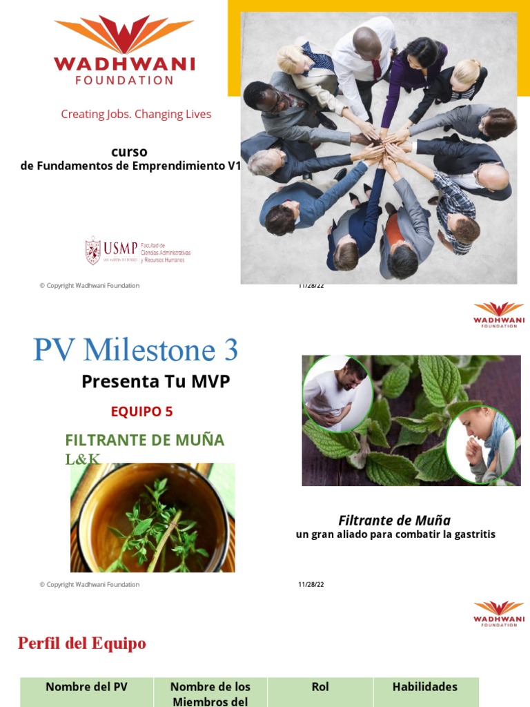 8 PV Milestone 3 EQUIPO 5 FILTRANTE DE MUÑA Presenta tu MVP | PDF