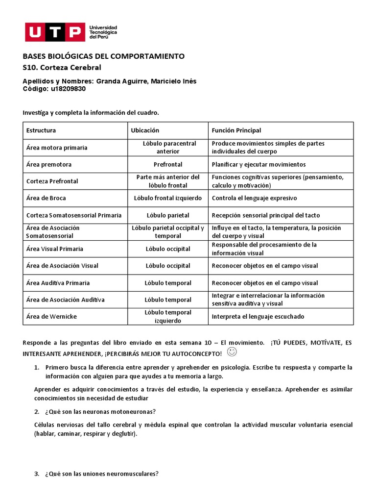 S10.s1 - Ejercicio Práctico | PDF | Cerebro | Enfermedad de Parkinson