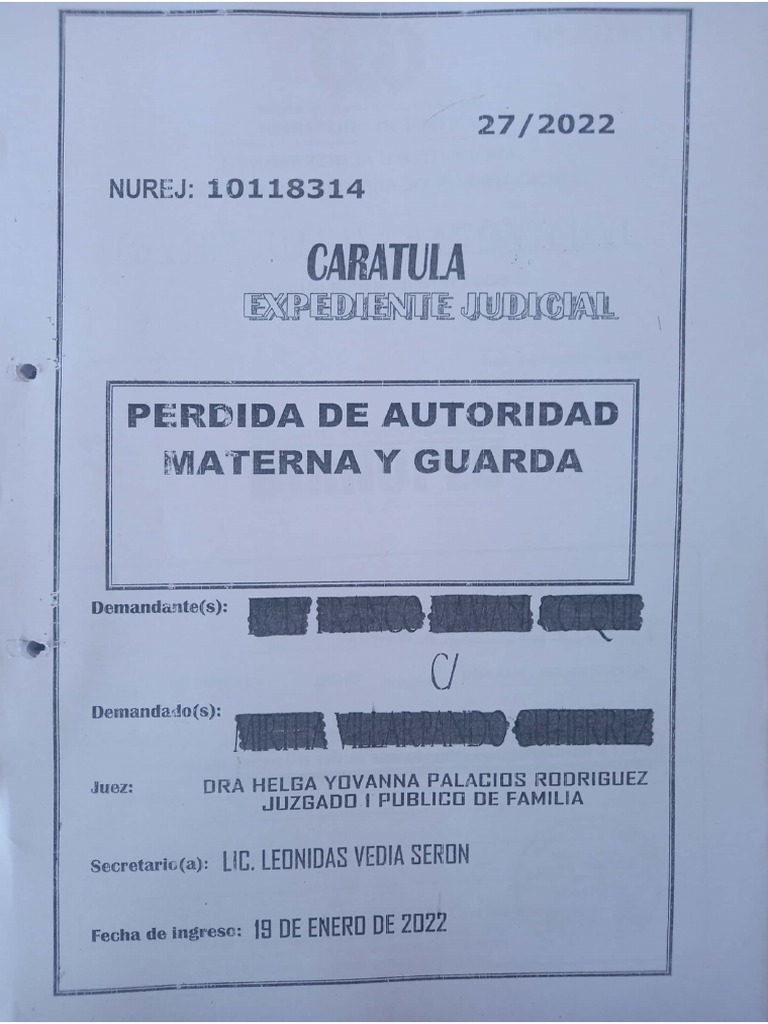 Memorial de Perdida de Autoridad Materna y Paterna | PDF