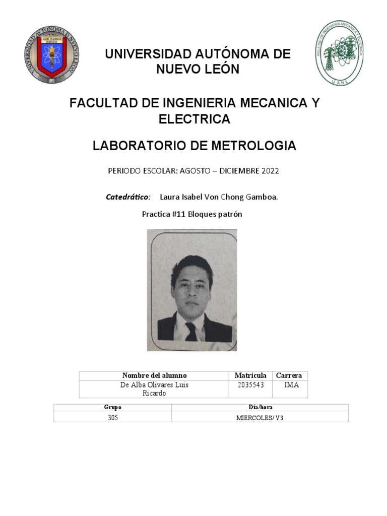 Practica - 11 Bloques Patron | PDF