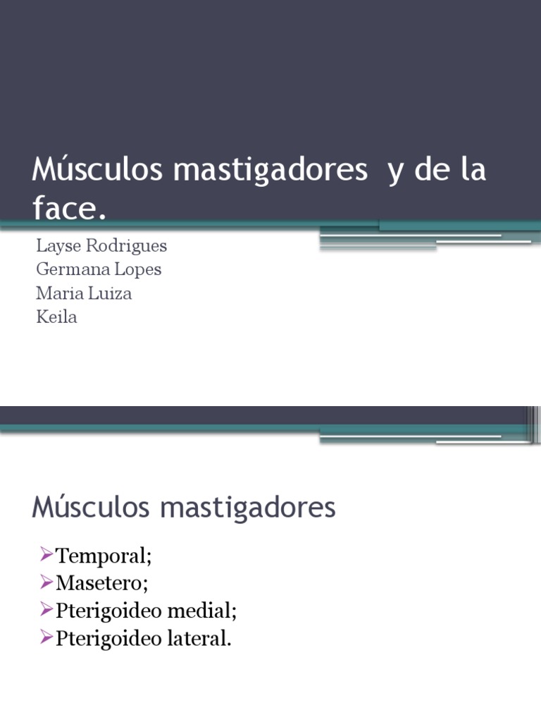 Musculos Masticadores | PDF